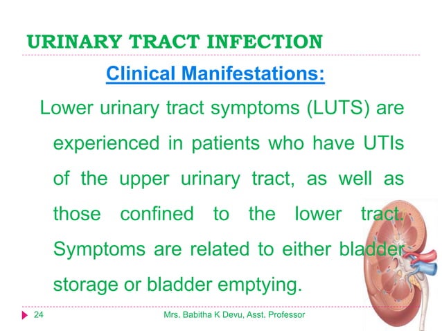 Notes on urinary disorders 1 | PPTX