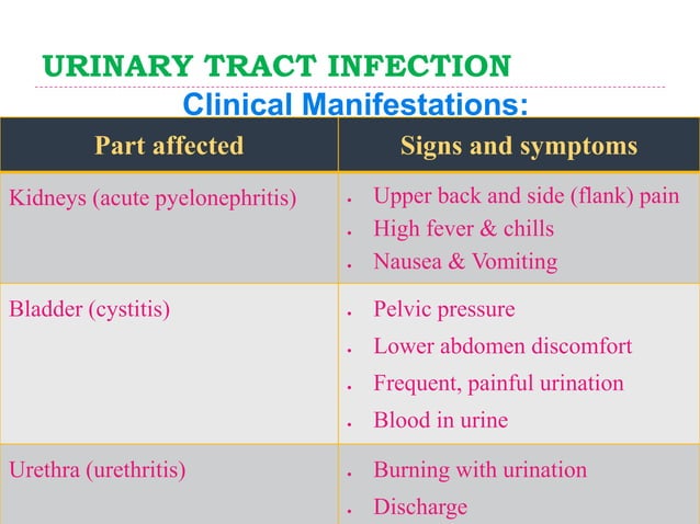 Notes on urinary disorders 1 | PPTX