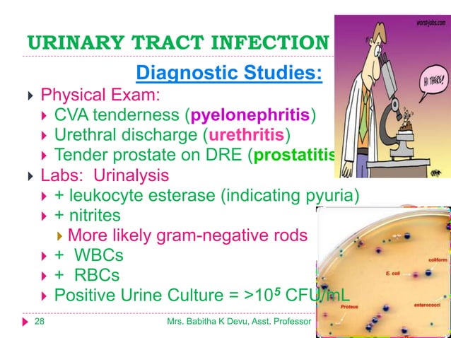Notes on urinary disorders 1 | PPTX