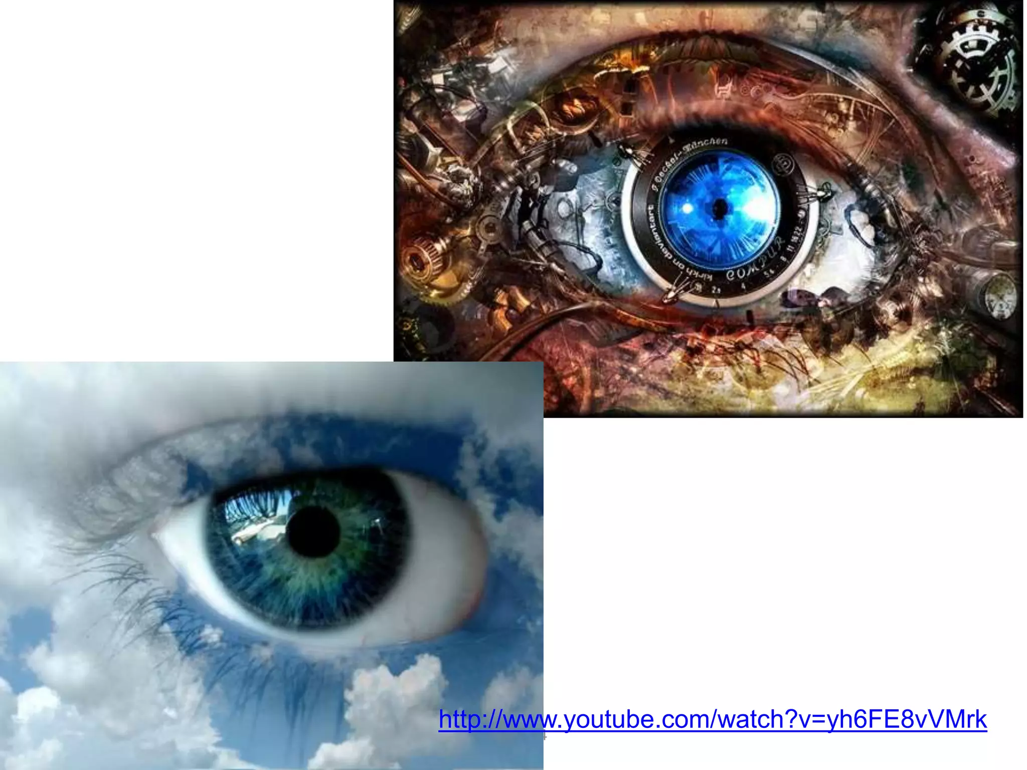 Notes on vision | PPTX