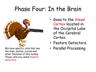 Notes on vision | PPT
