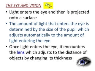 Notes on vision | PPT