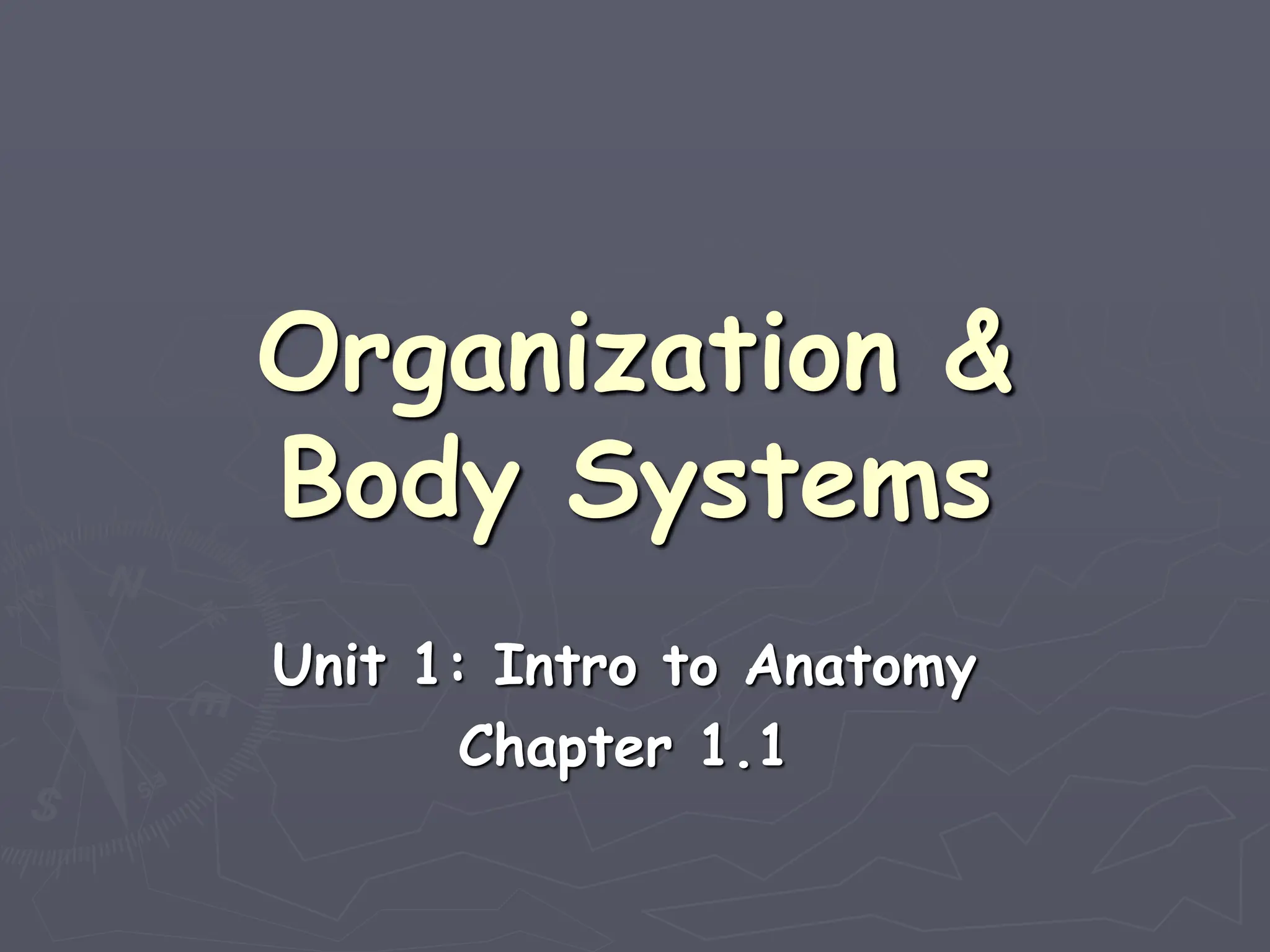 notes_organization_and_body_systemskd11 (1).ppt