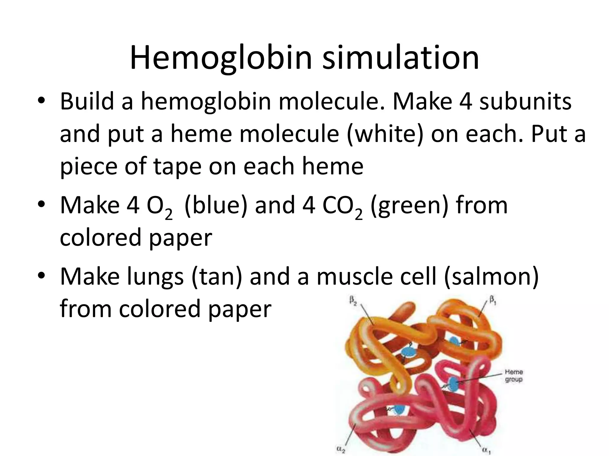 Notes red blood cells and hemoglobin | PPTX