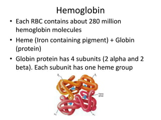 Notes red blood cells and hemoglobin | PPT