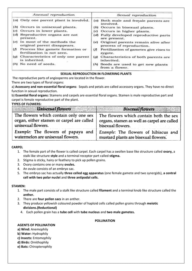 Notes reproduction CLASS 10 | PDF