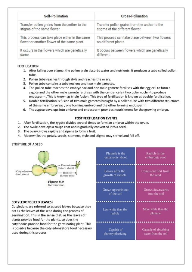 Notes reproduction CLASS 10 | PDF