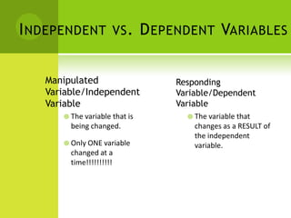 Notes sci process | PPTX