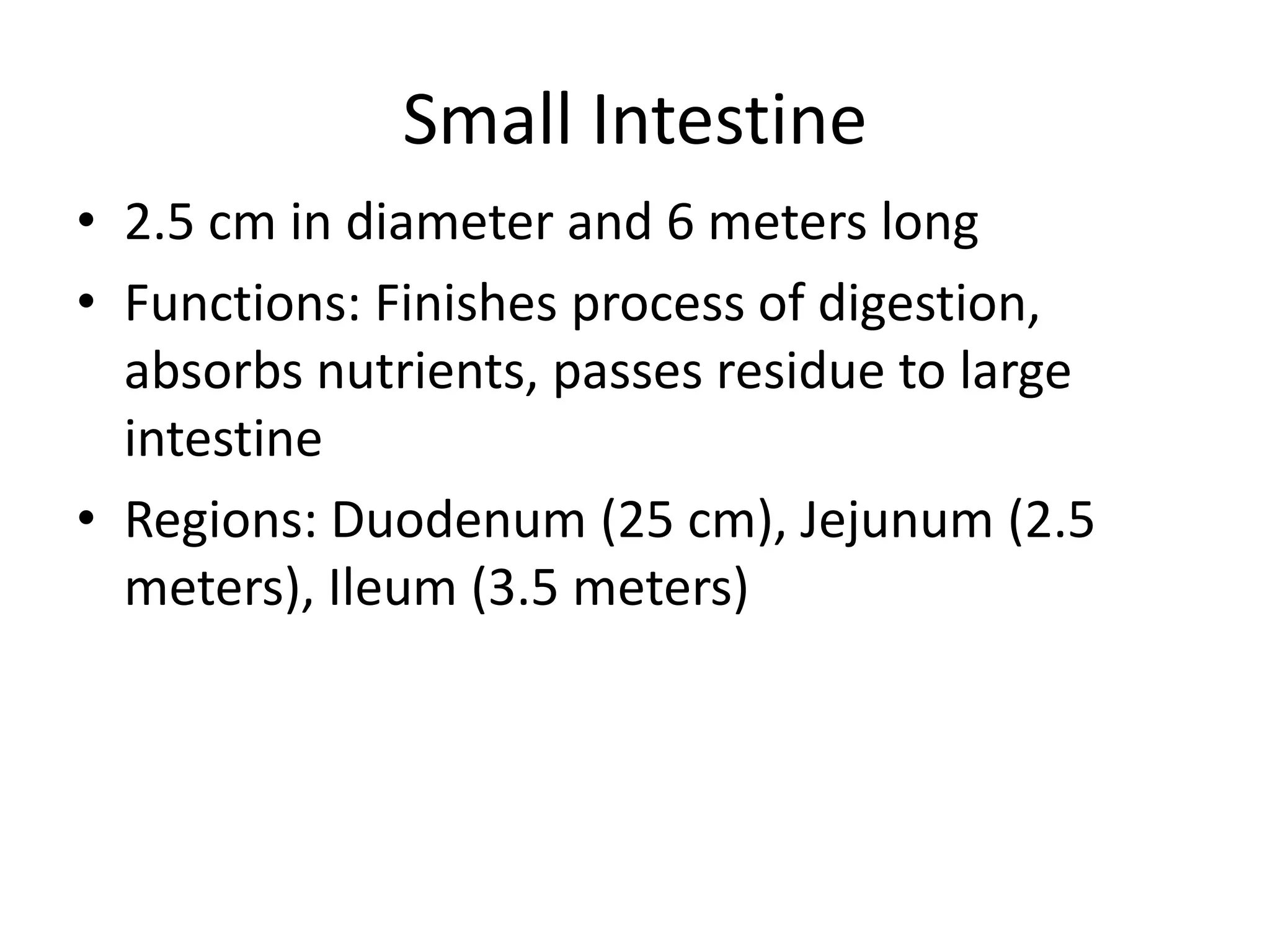 Notes small and large intestines | PPTX
