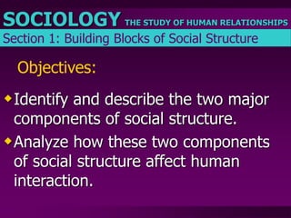 notes soc chapter 3.ppt