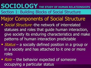 notes soc chapter 3.ppt