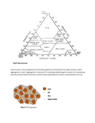 Notes Soil Microbiology.pdf1.pdf