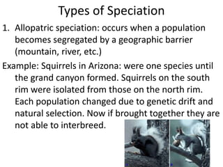 Notes speciation | PPTX | Biological Sciences | Science