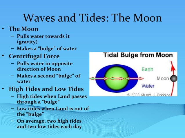 Notes about the Tides | PPT