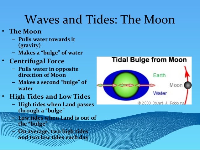 Notes about the Tides