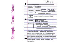 Best Note Taking Strategies to use for Students | PPT