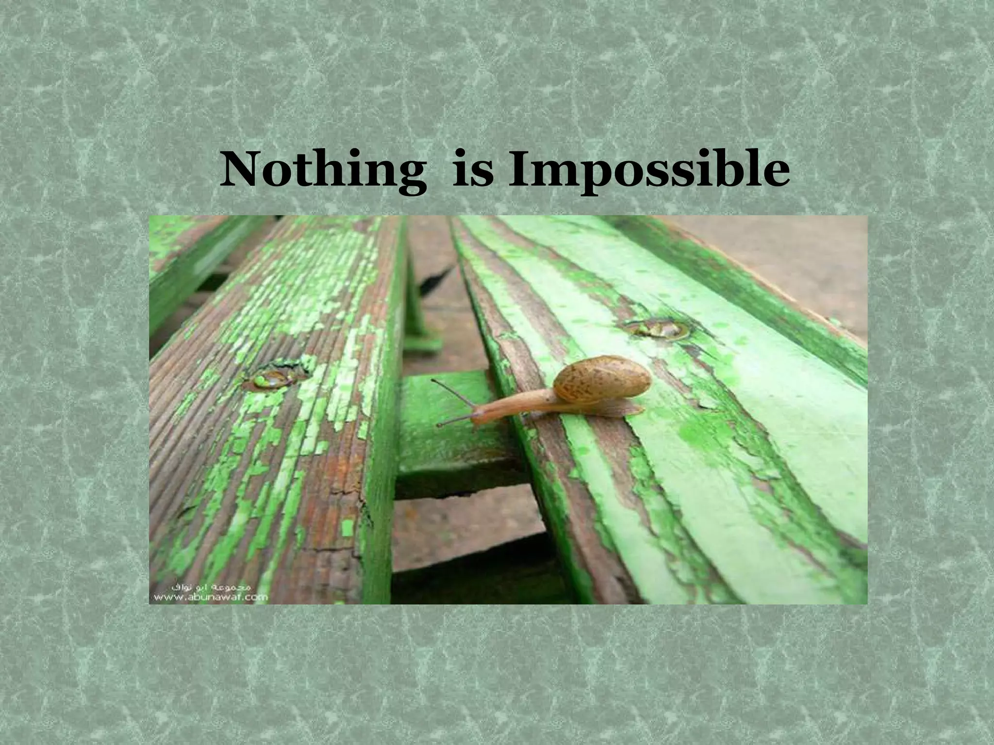 Nothing is impossible | PDF