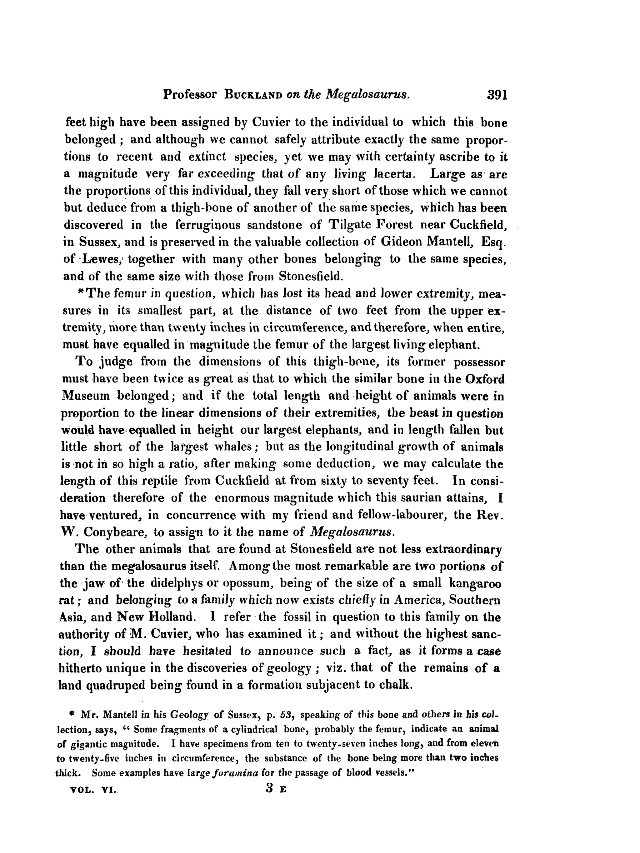 ‘Notice on the megalosaurus’ by william buckland | PDF