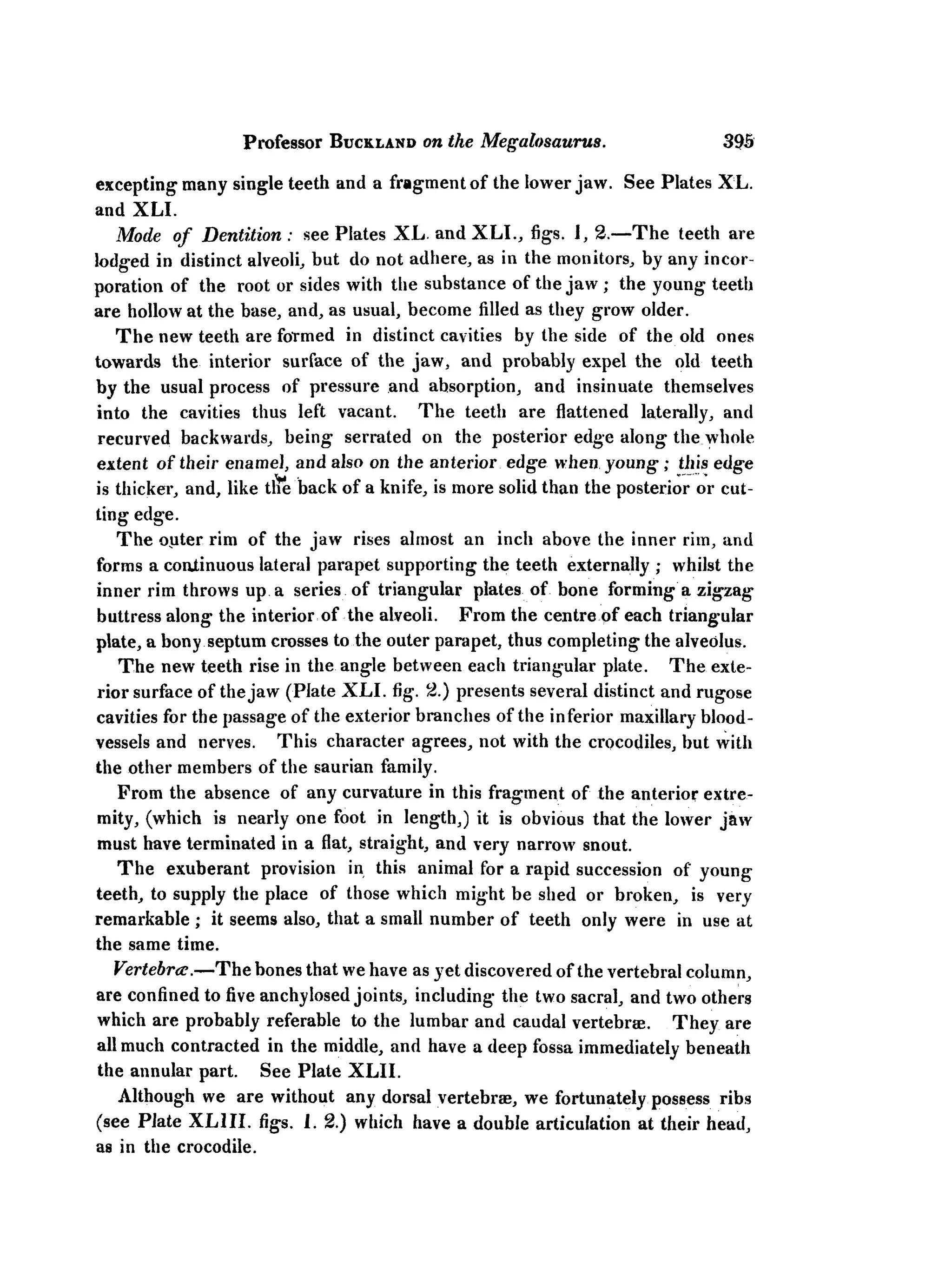 ‘Notice on the megalosaurus’ by william buckland | PDF