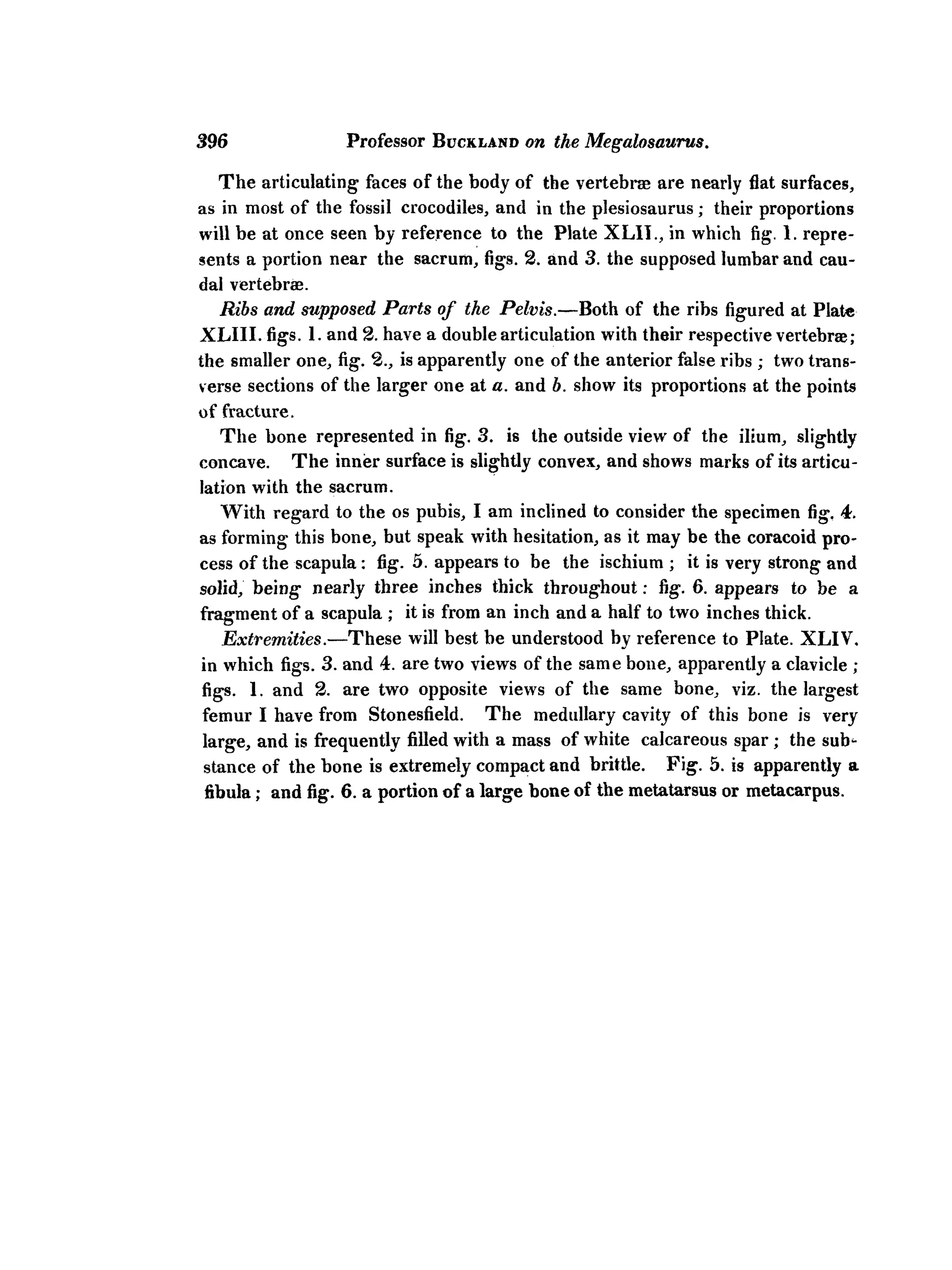 ‘Notice on the megalosaurus’ by william buckland | PDF