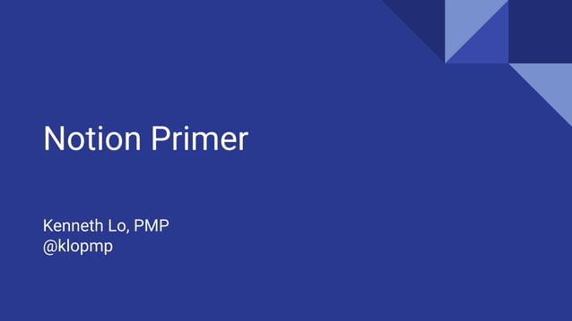 Notion Labs Primer | PDF