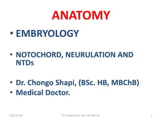 NOTOCHORD, NEURULATION AND NTDs by Shapi. MD.pdf