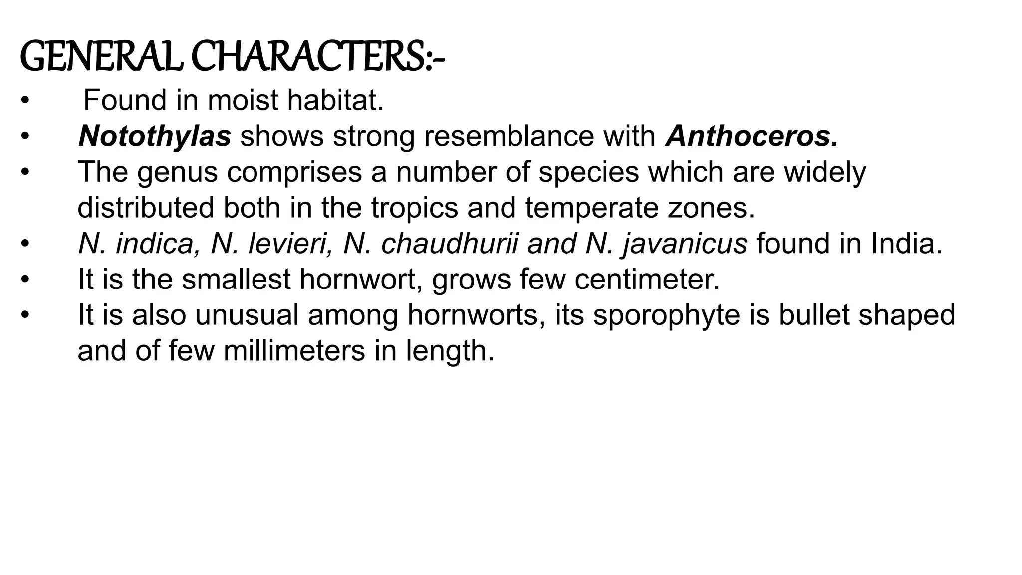 Notothylas by p.n | PPTX