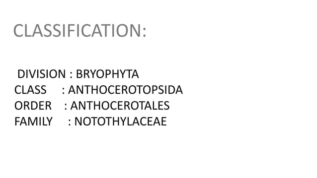 Notothylas by p.n | PPTX | Biological Sciences | Science