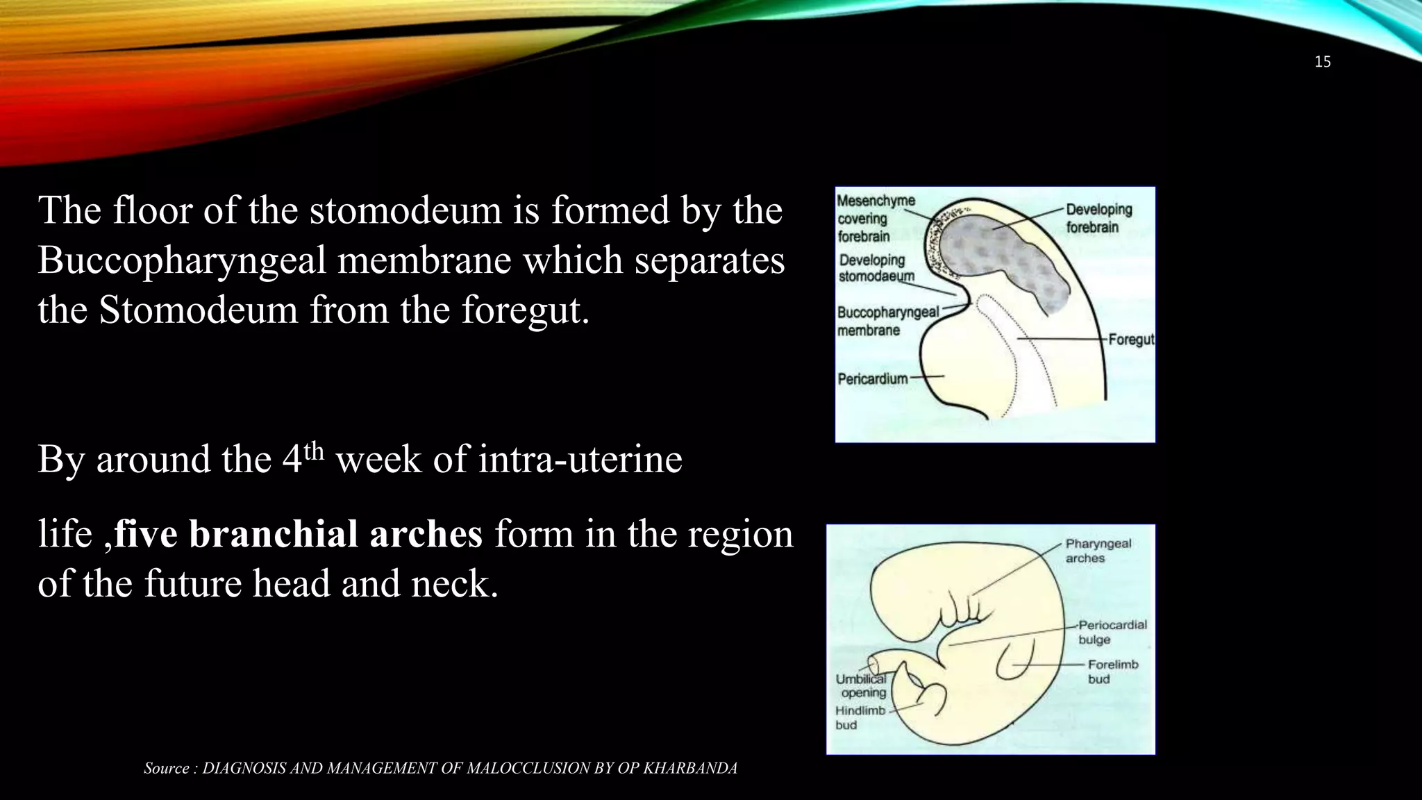 prenatal and post natal development of maxilla | PPTX