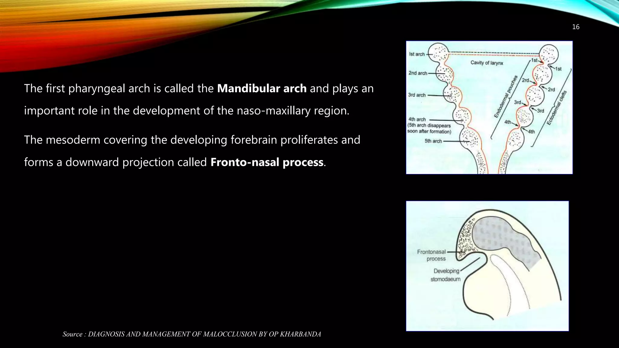 prenatal and post natal development of maxilla | PPTX