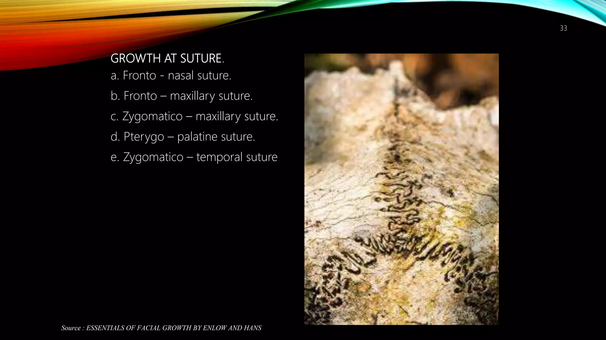 prenatal and post natal development of maxilla | PPTX