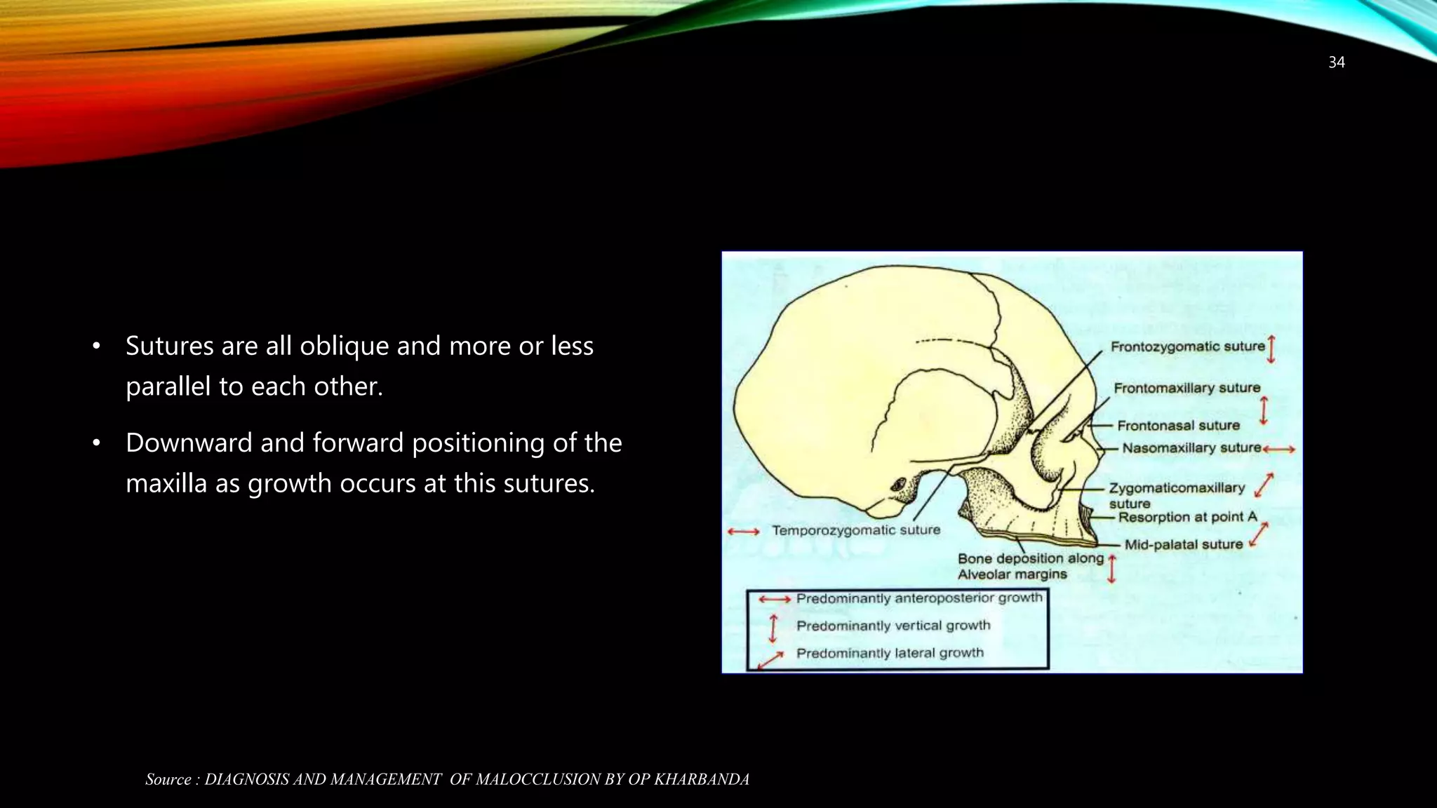 prenatal and post natal development of maxilla | PPTX