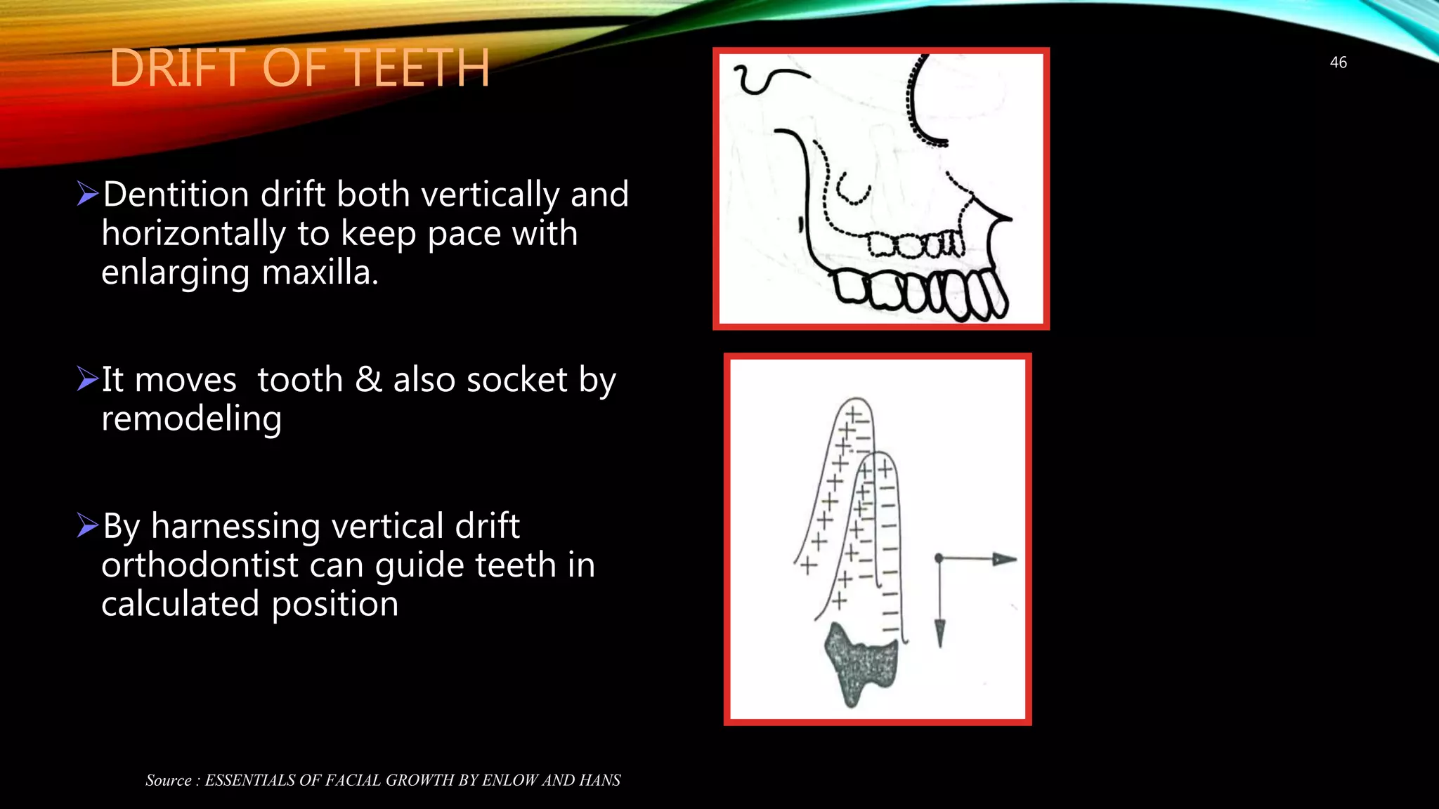 prenatal and post natal development of maxilla | PPTX