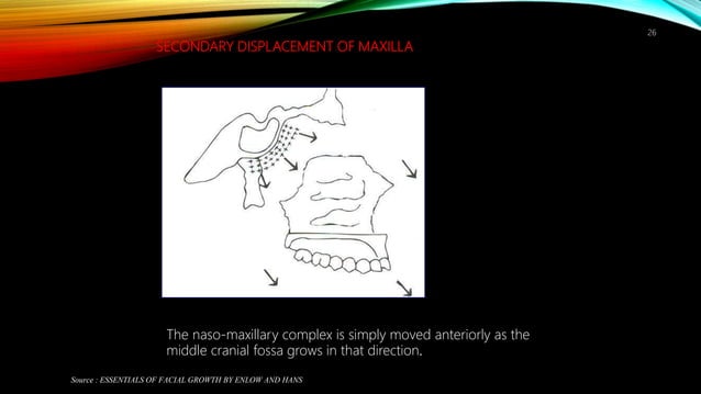 prenatal and post natal development of maxilla | PPTX