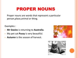 Noun | PPT
