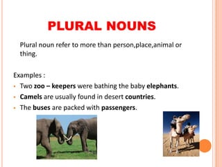 Noun | PPSX