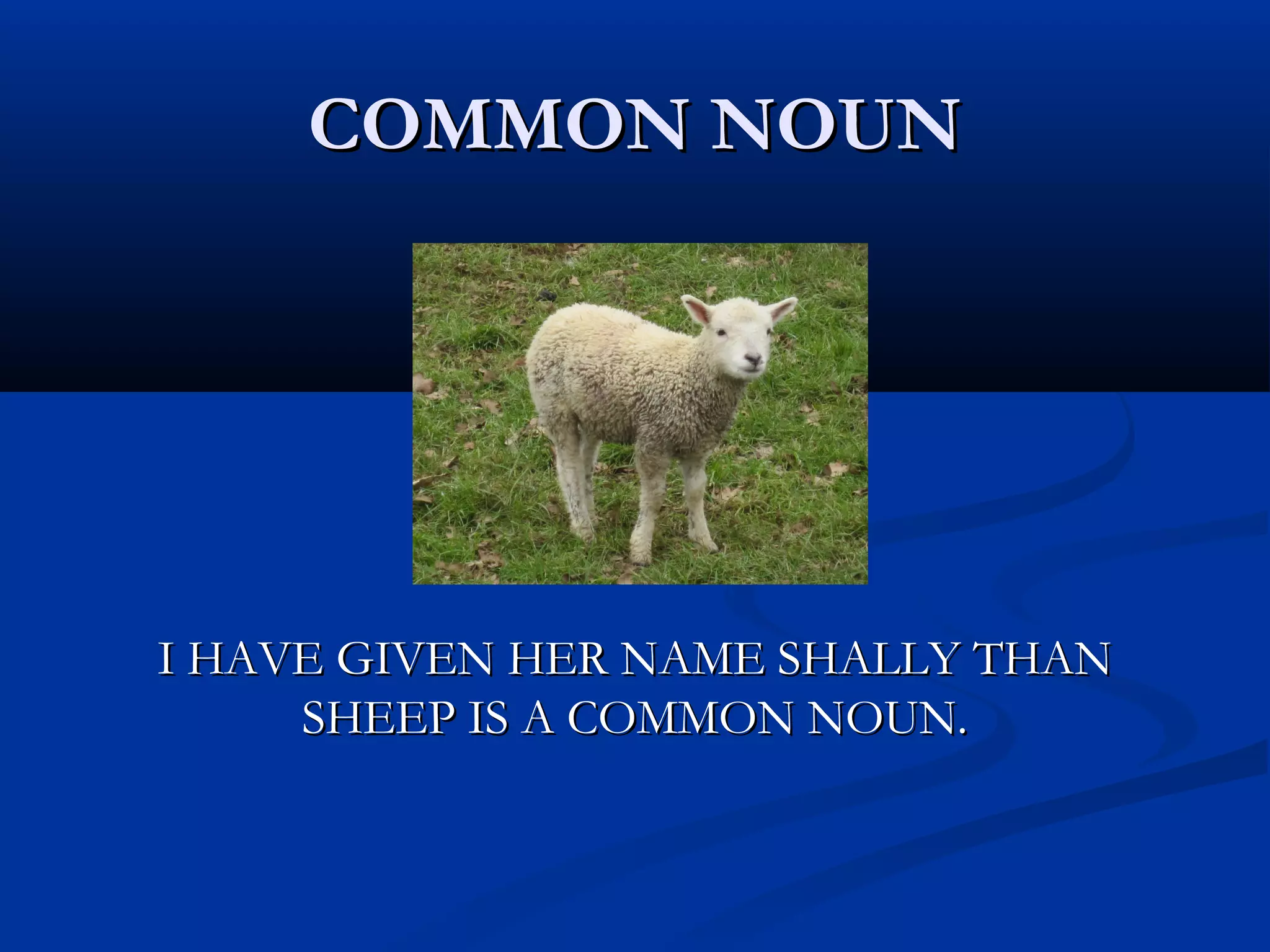 presentation on noun | PPT