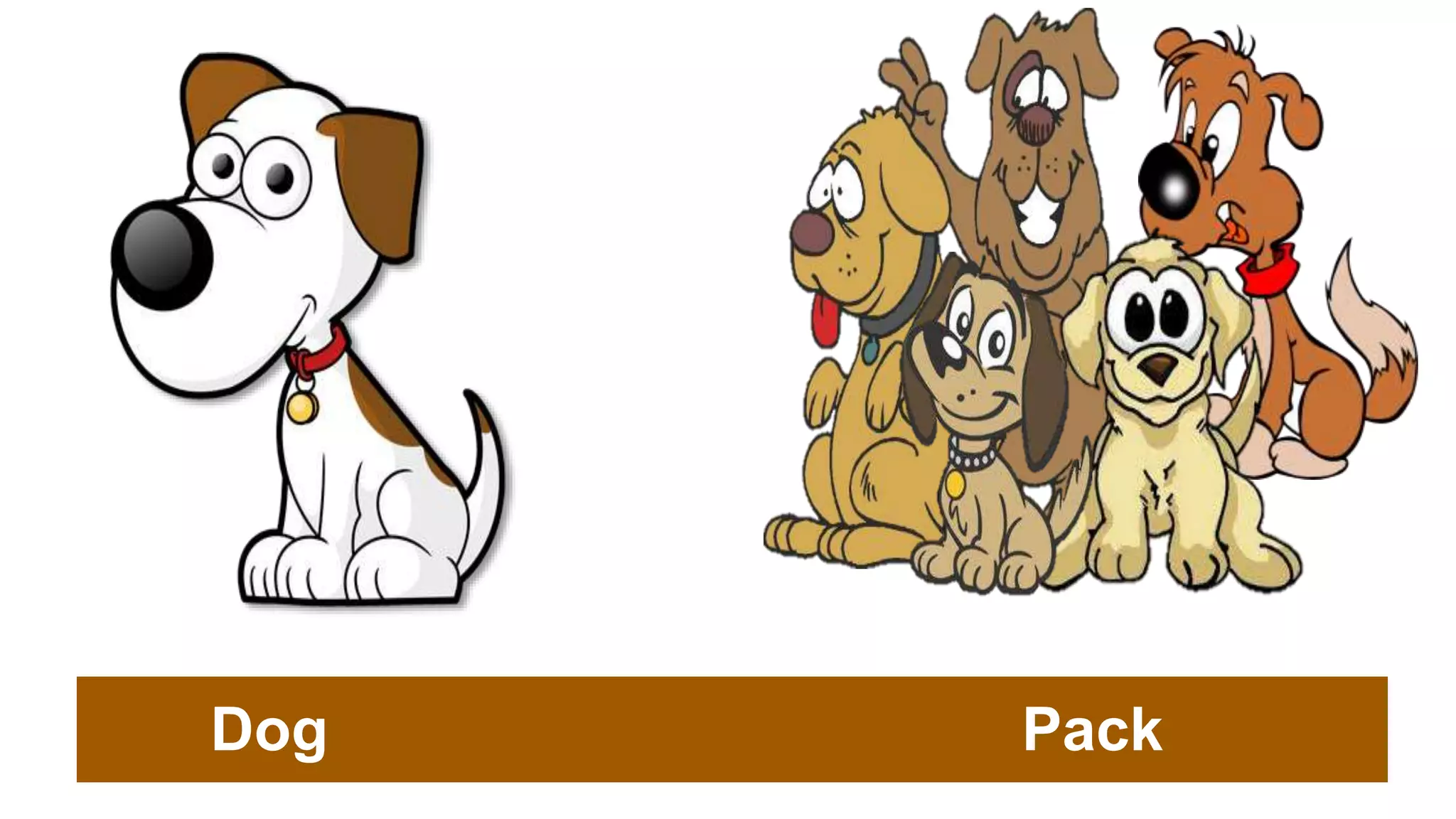 Kinds of Noun | PPTX
