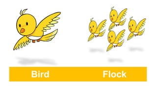 Kinds of Noun | PPTX