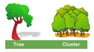 Kinds of Noun | PPTX