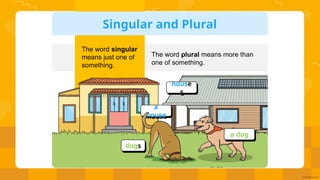 Noun - types of nouns - useful for primary | PPTX