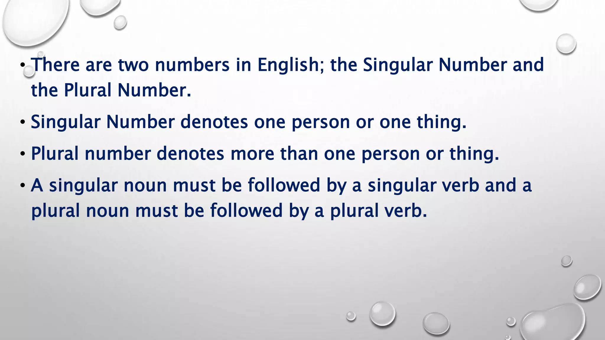 Noun - Number | PPTX