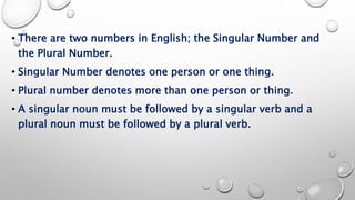 Noun - Number | PPTX