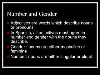 Noun Adjective Agreement Copy | PPT