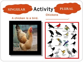 Noun and noun followed by are plural and singular | PPT