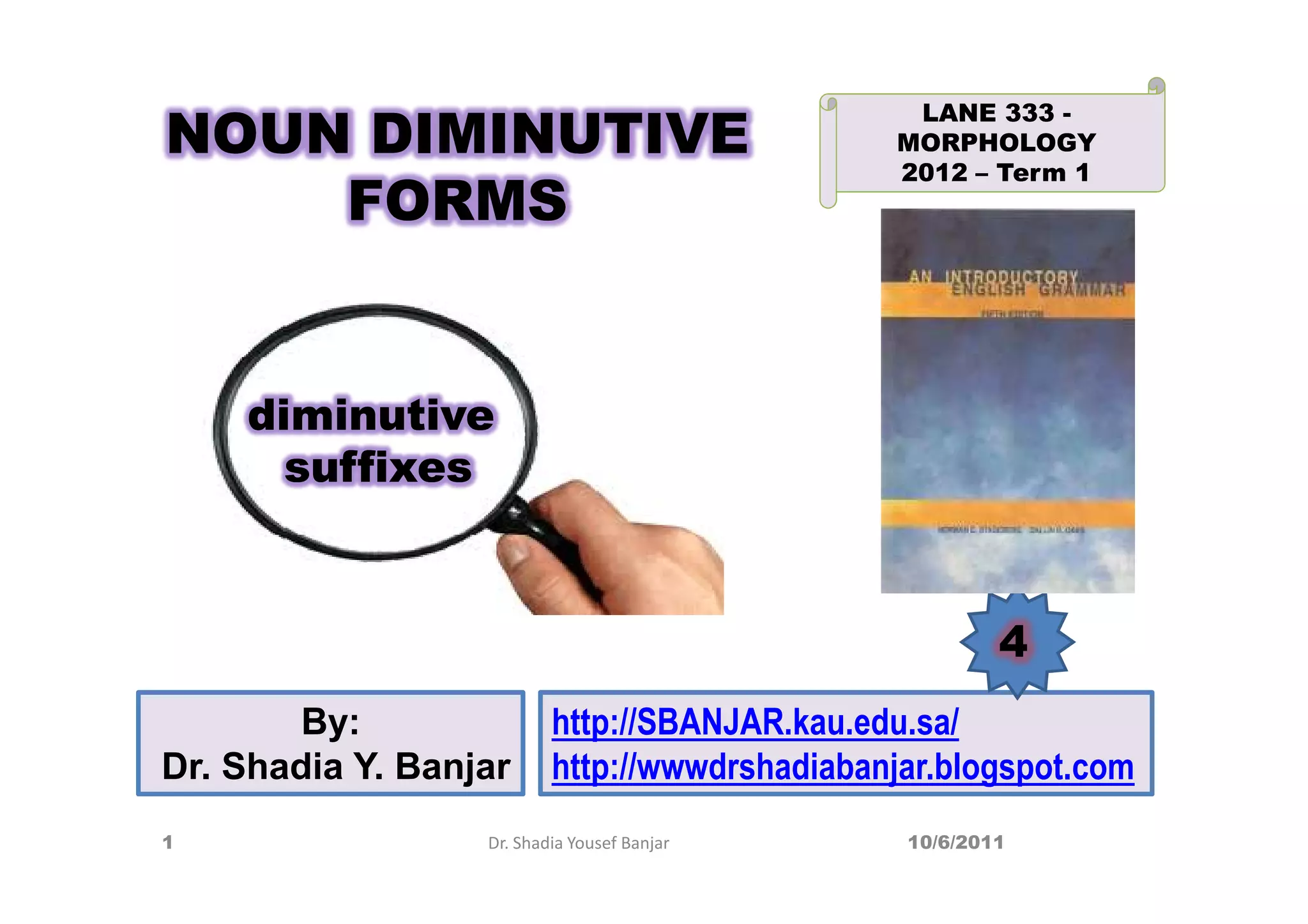 Noun Diminutive Forms- Dr. Shadia Y. Banjar | PDF