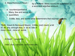 Functions of Nouns | PPTX