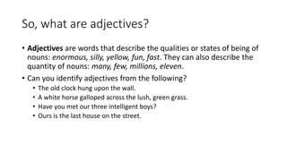 Noun pronoun and adjectives | PPTX