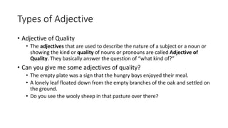 Noun pronoun and adjectives | PPTX