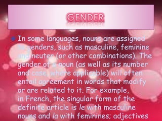 Nouns | PPTX